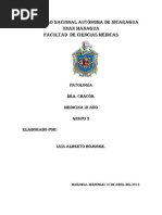 Actualizacion de Protocolos de La Cap | PDF