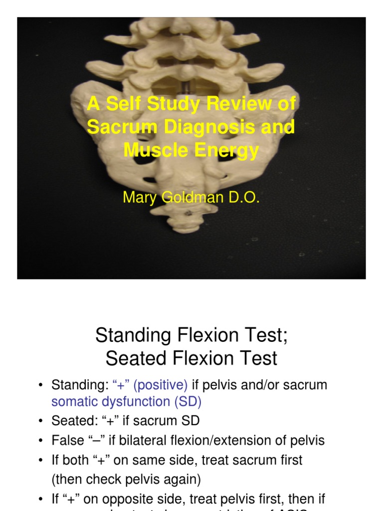 Sacrum Self Study Guide | PDF | Pelvis | Anatomical Terms Of Motion