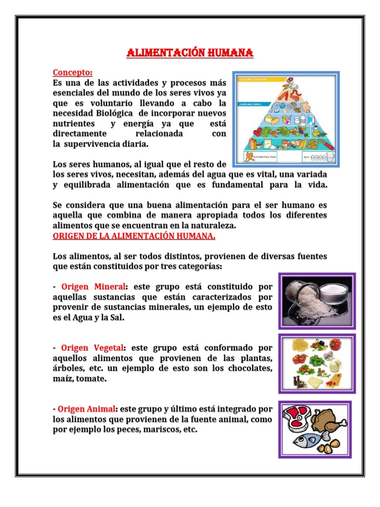 Tipos y Origen de la Alimentación Humana | PDF | Nutrientes | Alimentos