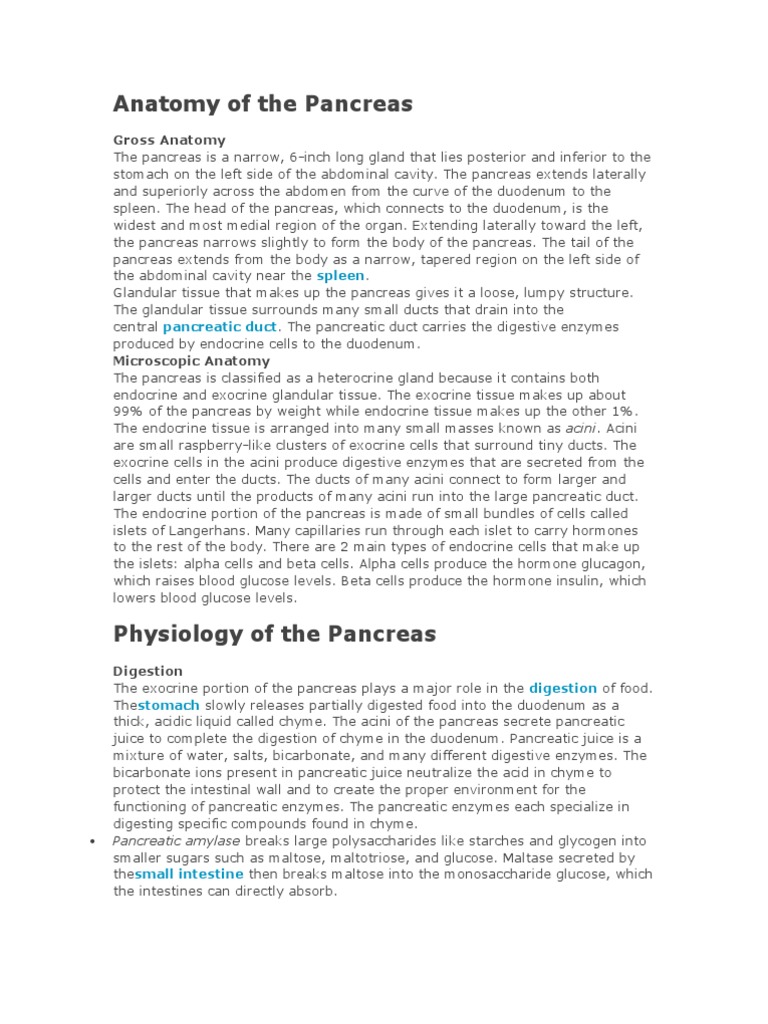 Anatomy of Pancreas | PDF | Pancreas | Digestion