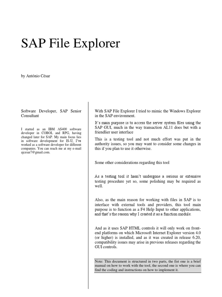 SAP File Explorer | PDF | Computer File | Software