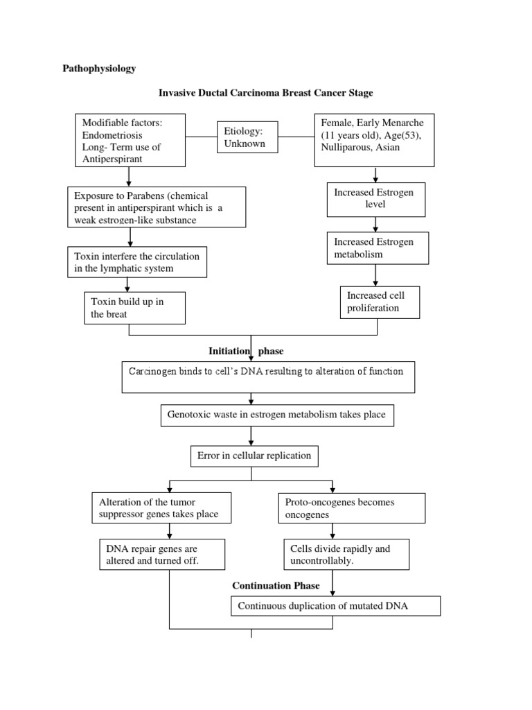 Cancer Pathophysiology final.docx | Metastasis | Neoplasms