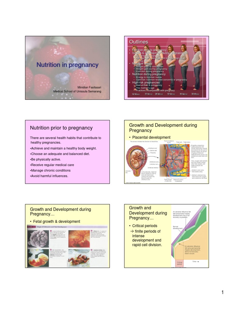 Nutrition in Pregnancy | PDF | Pregnancy | Prenatal Development