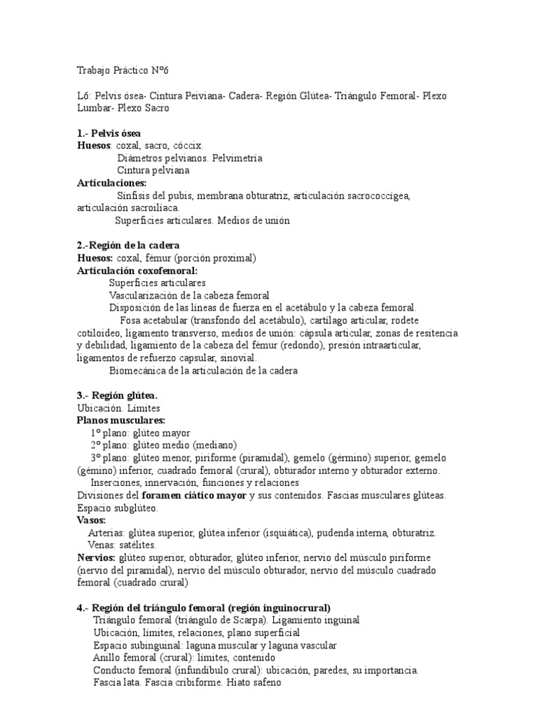 Anatomía Cátedra 3 - TP 6 | PDF | Cadera | Pelvis
