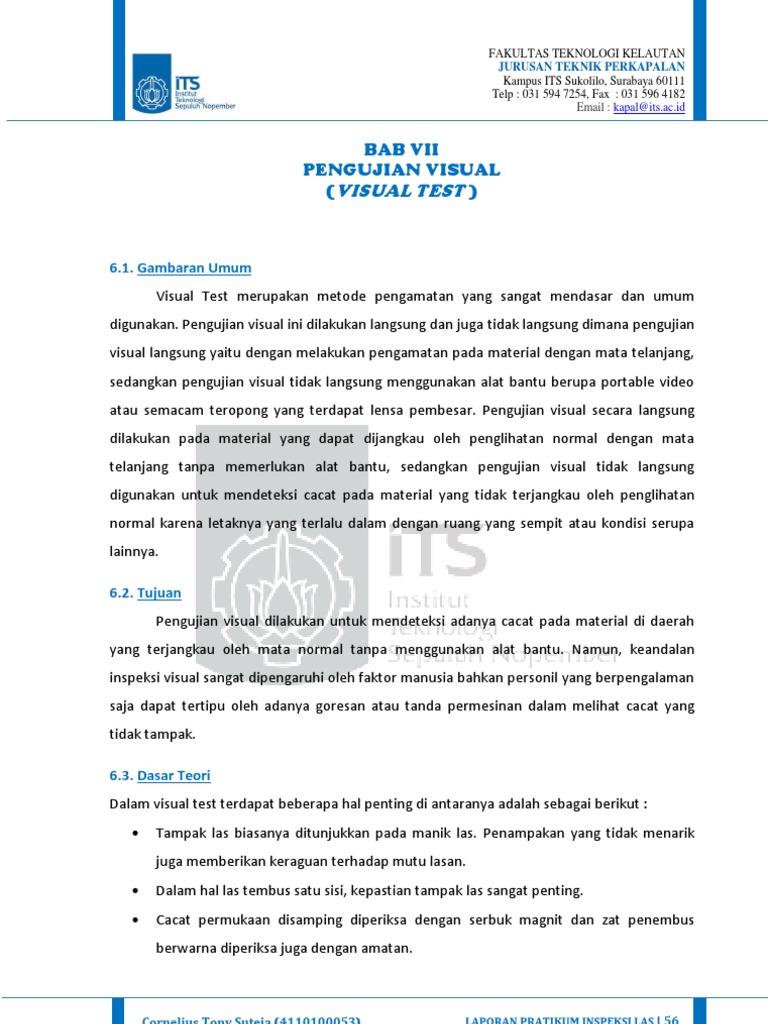 Visual Test Report | PDF