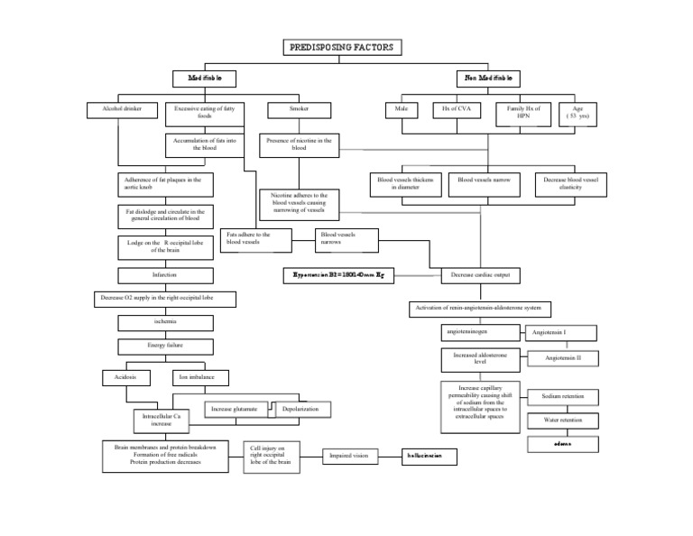 Pathophysiology of CVA