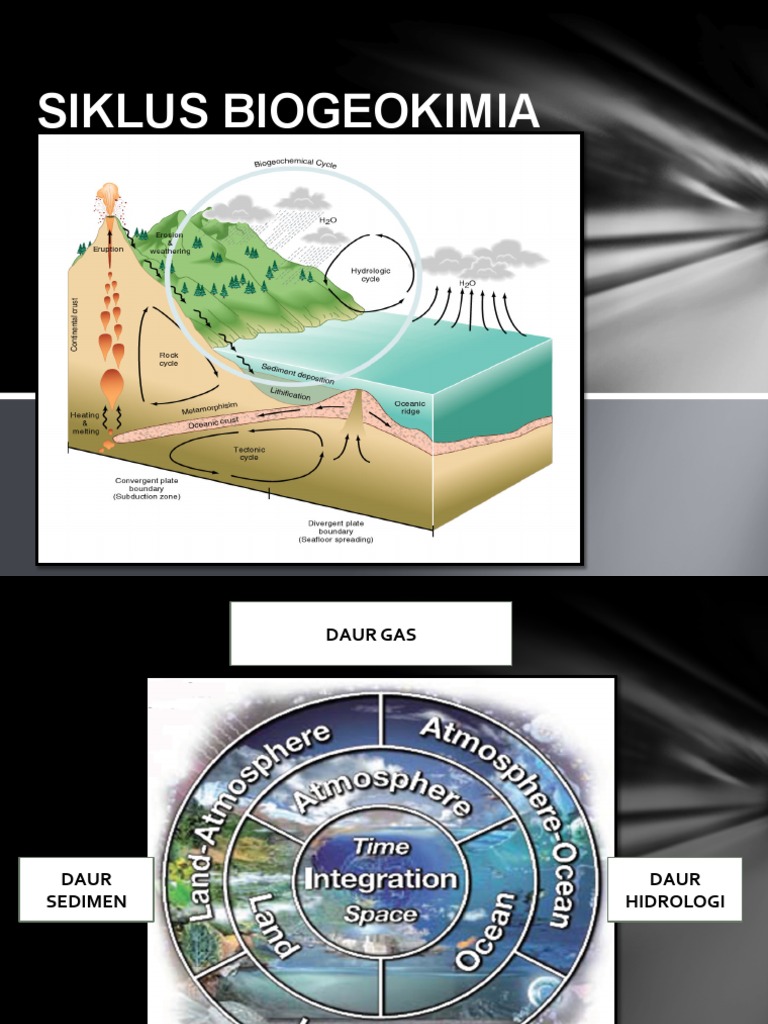 Siklus Biogeokimia | PDF