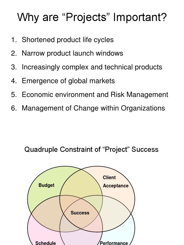 W1 Strategic Overview of Project Management (Incl PMI Approach) | PDF ...