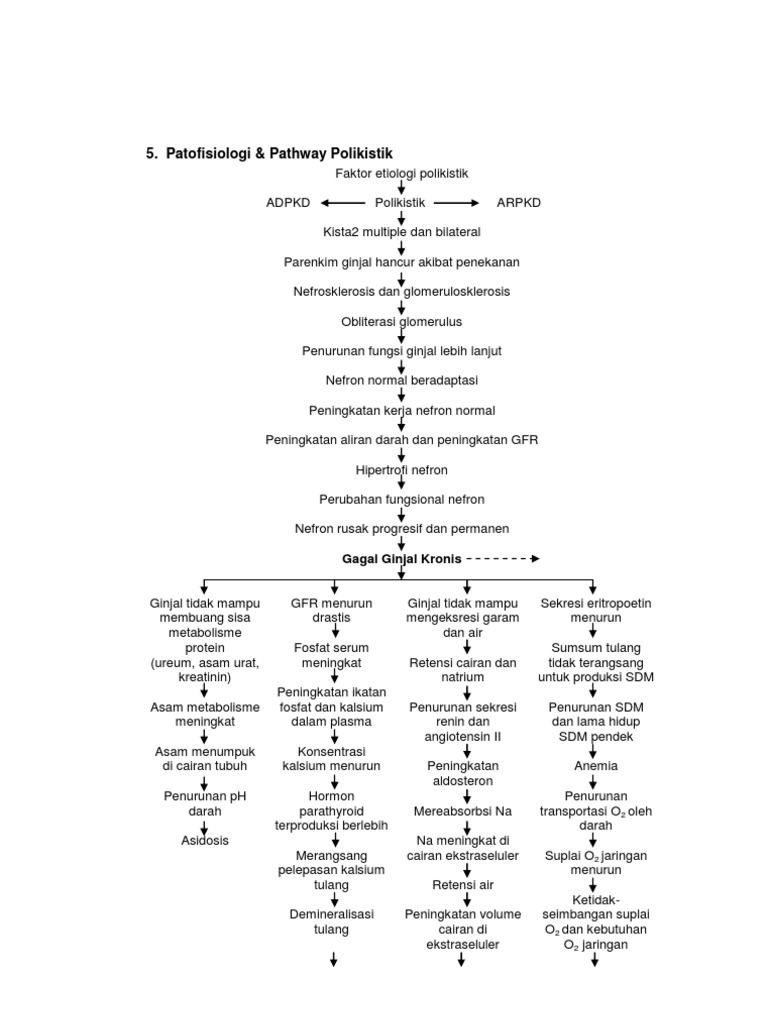 Pathway CKD+PKD+HD | PDF