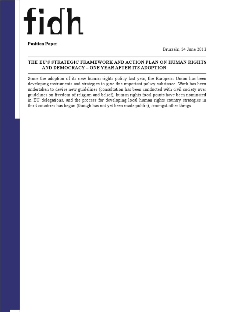 Position Paper | PDF | Human Rights | European Union