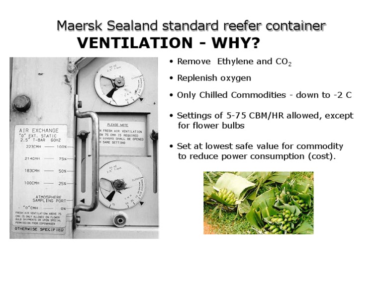 Reefer Container Ventilation Guidelines | PDF