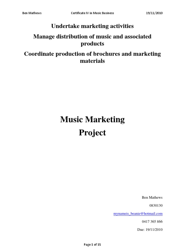 Music Marketing Plan Ben Mathews | PDF | Music Industry | Target Audience