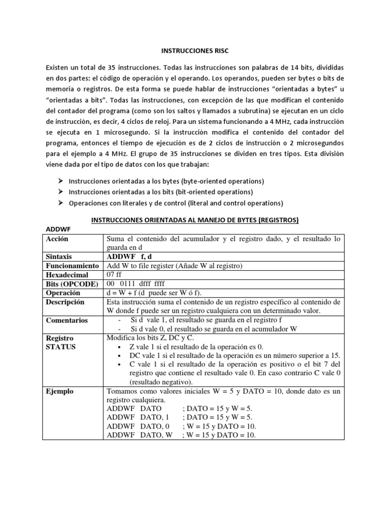 Instrucciones Risc | PDF | Poco | Byte