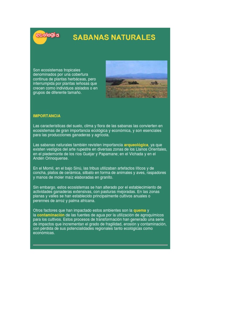 Importancia y características de la sabana | PDF | Sabana | Selva
