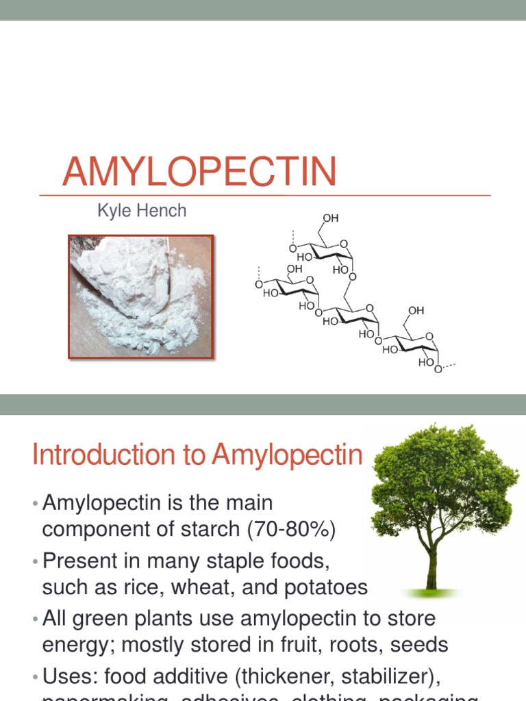 Amylopectin | Starch | Glucose