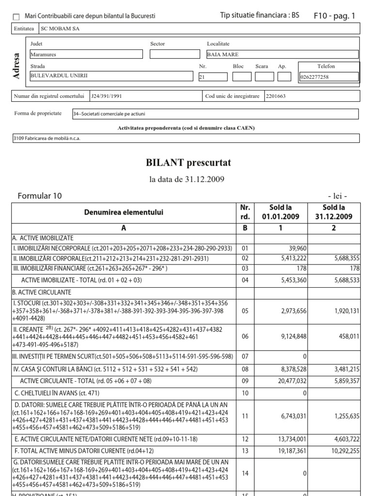 Bilant Prescurtat | PDF