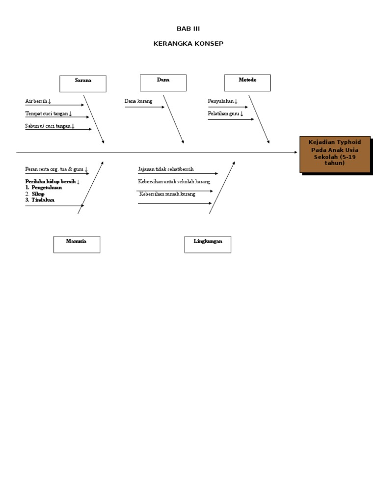 Fishbone Penyakit Typhoid | PDF