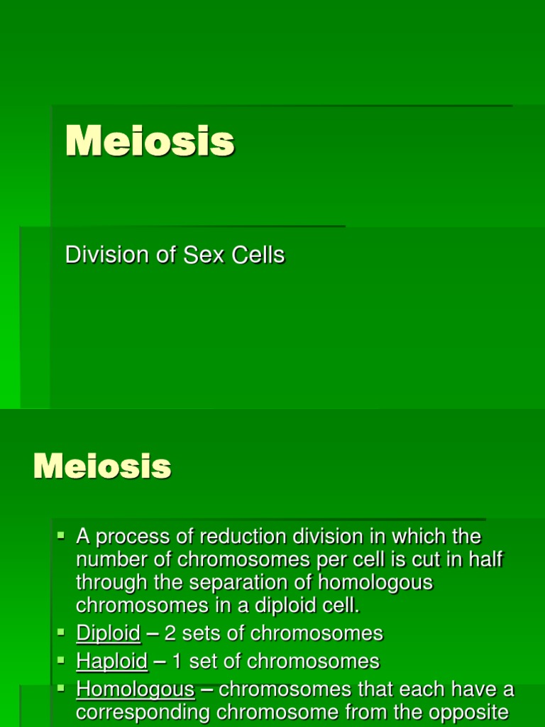 Ppt Meiosis Powerpoint Presentation Free Download Id