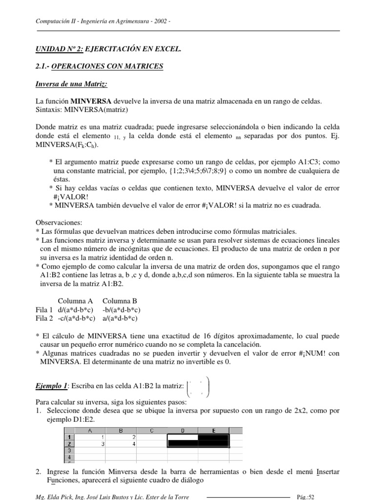 Matrices Excel | PDF