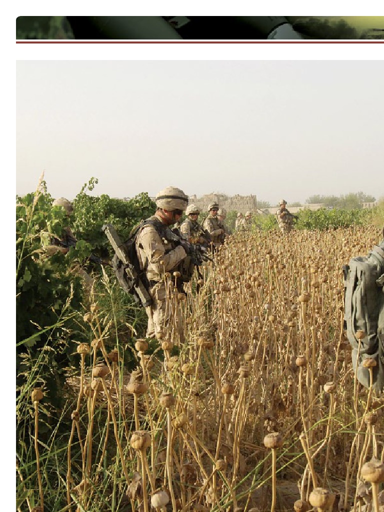 Organizing Modern Infantry. Analysis of Section Fighting Power | PDF ...