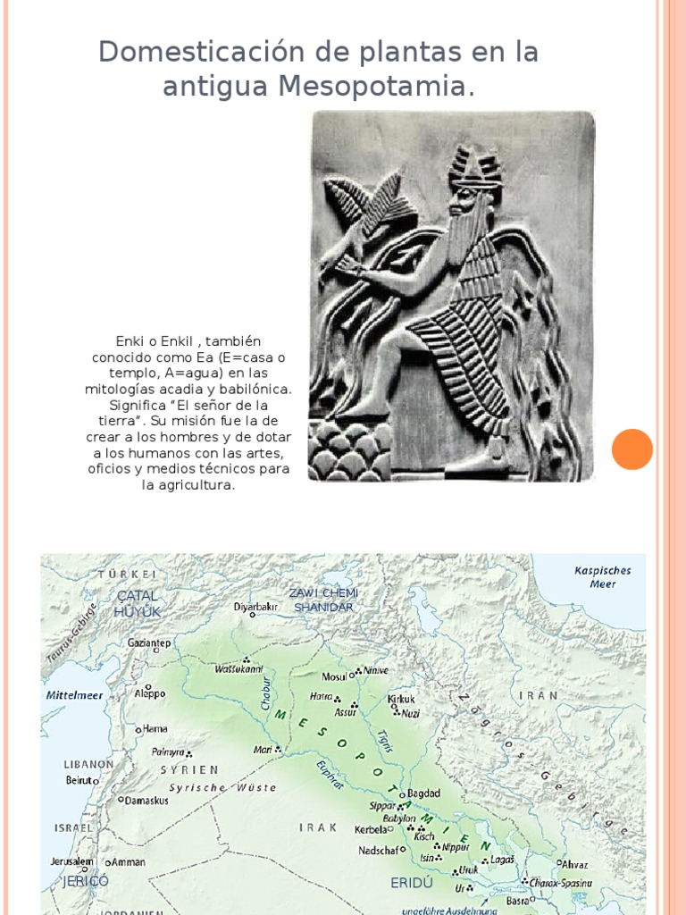 Agricultura y domesticación en Mesopotamia | PDF | Granada | Mesopotamia