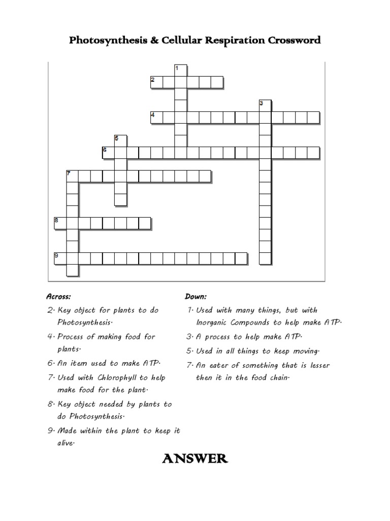 Photosynthesis & Cellular Respiration Crossword | PDF | Photosynthesis ...