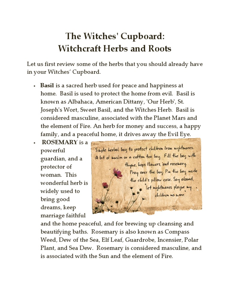 The Witches' Cupboard: Witchcraft Herbs and Roots: Basil Is A Sacred ...