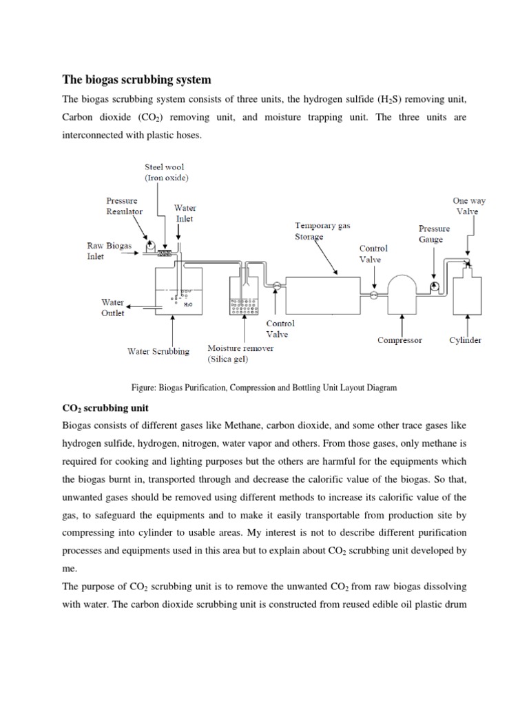 Carbon Dioxide Scrubber | PDF