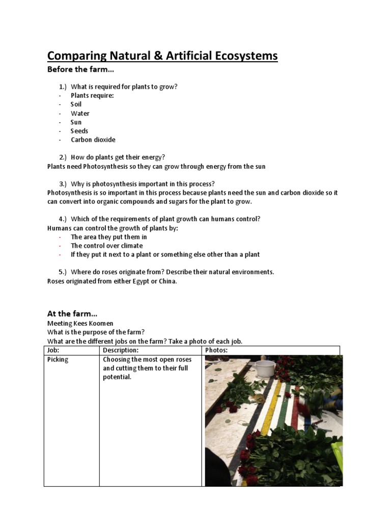 Comparing Natural & Artificial Ecosystems: Before The Farm | PDF | Greenhouse | Plants