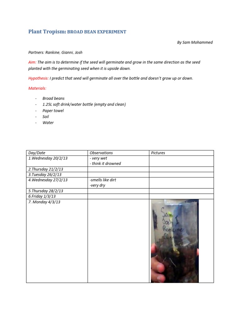 Plant Tropism Experiment | PDF | Wellness