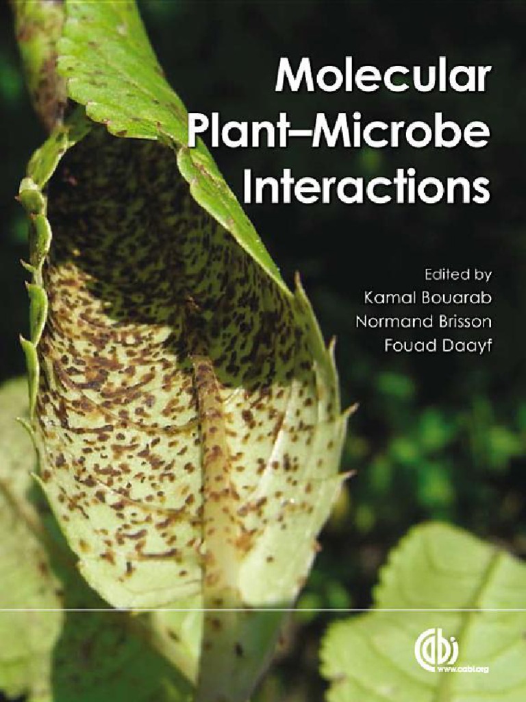 Molecular Plant-Interaction | PDF | Gene Silencing | Rna