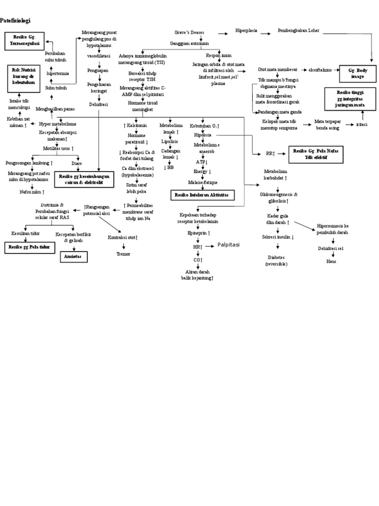 Patofisiologi hipertiroid