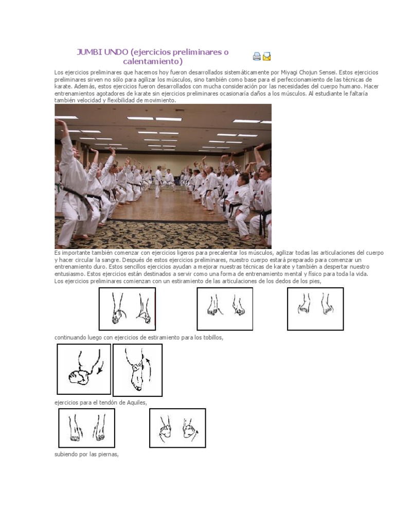 Hojo Undo | PDF