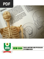 Human Anatomy Notes | PDF