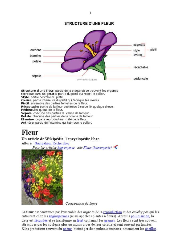 Structure D'une Fleur | PDF | Pétale | Fleurs