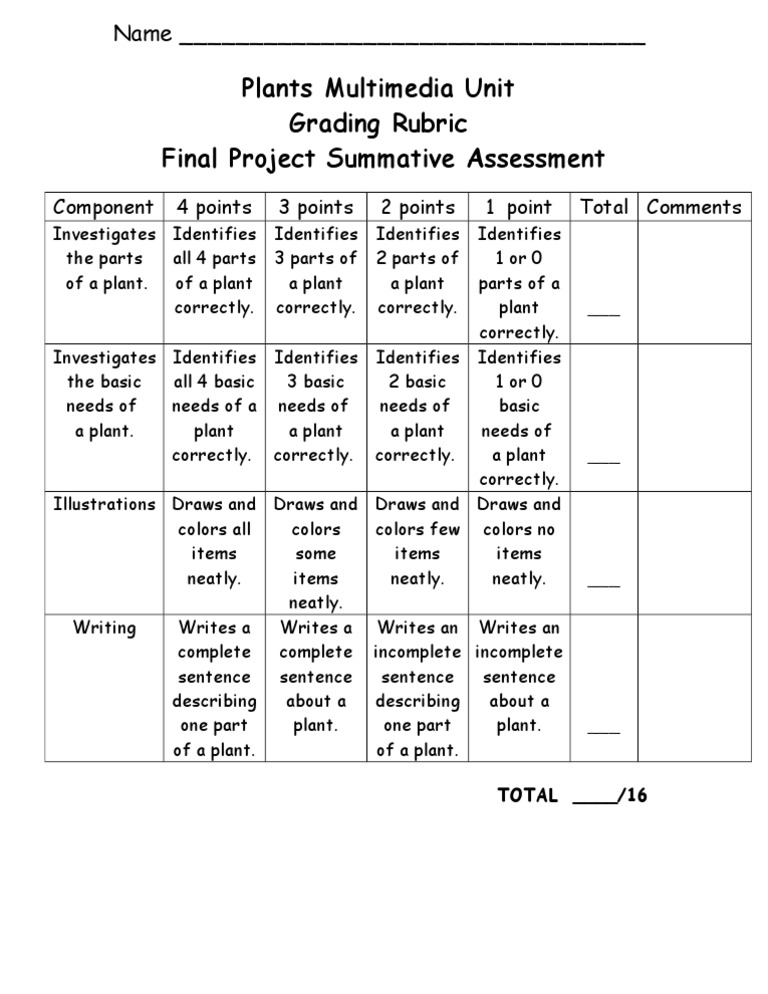 Plant Parts and Needs Grading Rubric | PDF