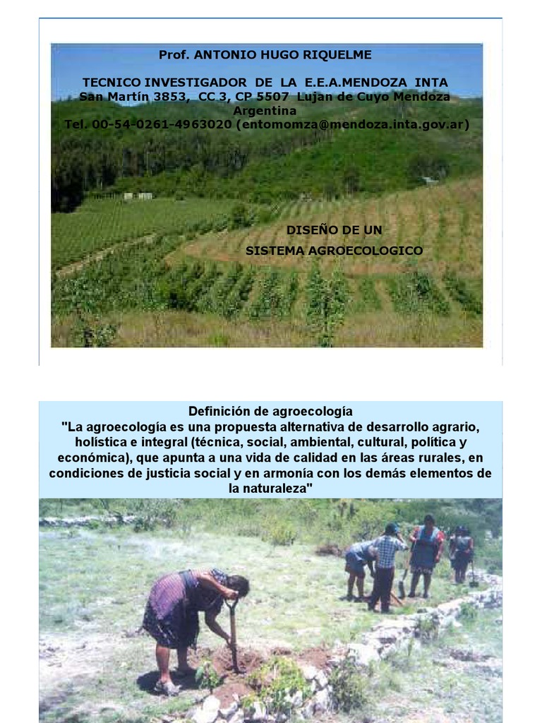 Diseño de Sistemas Agroecológicos | PDF | Agroecología | Agricultura ...