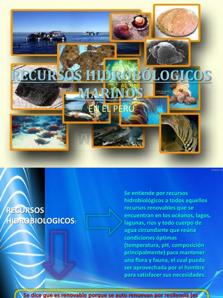Recursos Hidrobólogicos Marinos | PDF | Océanos | Perú