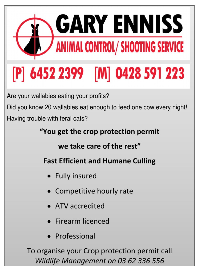 Shooting Flyer | PDF