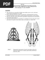Plumb Line Postural Analysis Checklist | PDF | Anatomical Terms Of ...