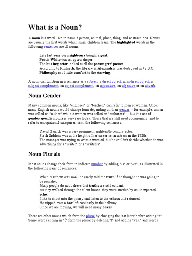 What Is A Noun | PDF | Noun | Grammatical Gender
