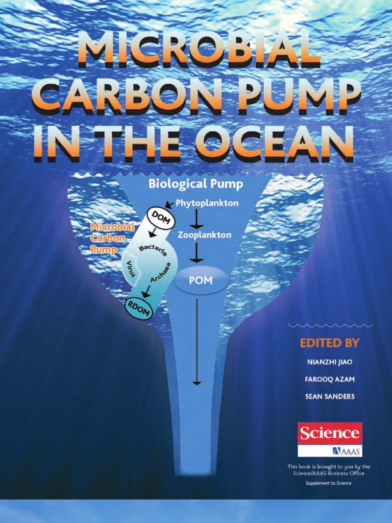 Microbial Carbon Pump in The Ocean | PDF | Carbon Dioxide | Carbon Cycle