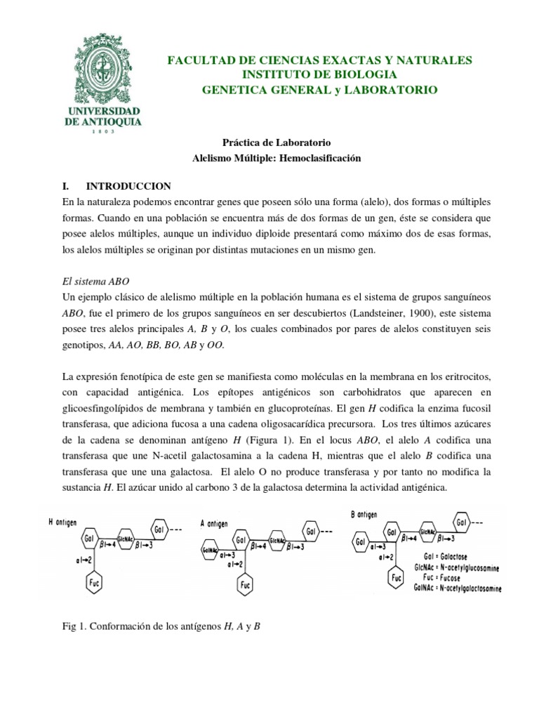 Hemoclasificación y Alelismo Múltiple | PDF | Tipo de sangre | Alelo