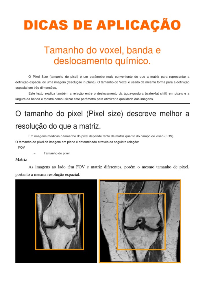 Voxel Size | PDF | Voxel | Pixel