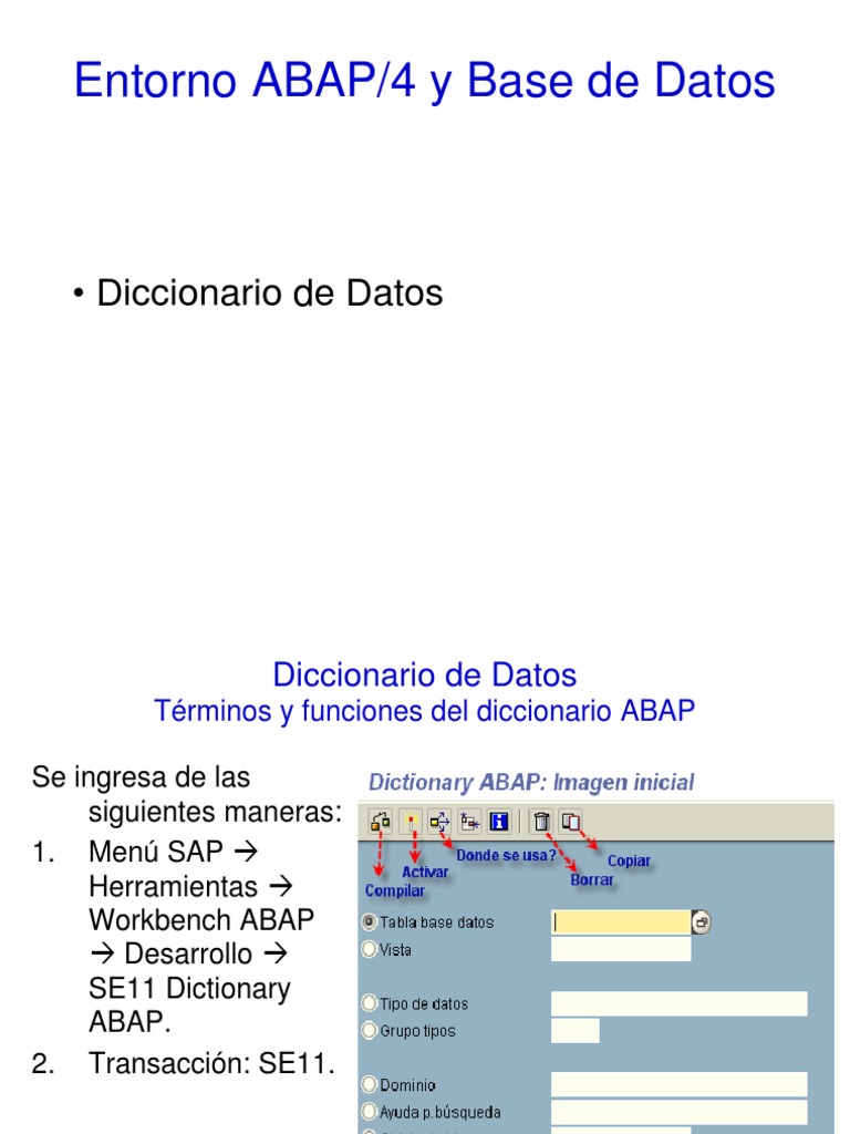 Entorno Abap y Base de Datos - Diccionario de Datos | PDF | Tabla (base de datos) | Diccionario