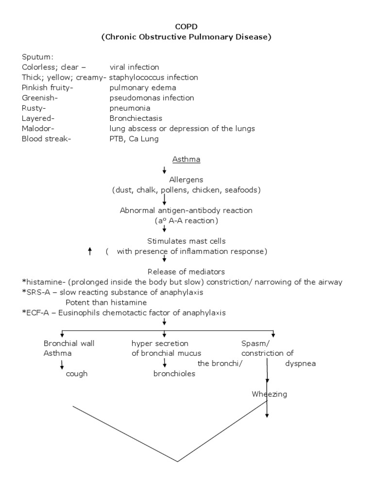 Copd (Chronic Obstructive Pulmonary Disease) | PDF | Chronic ...