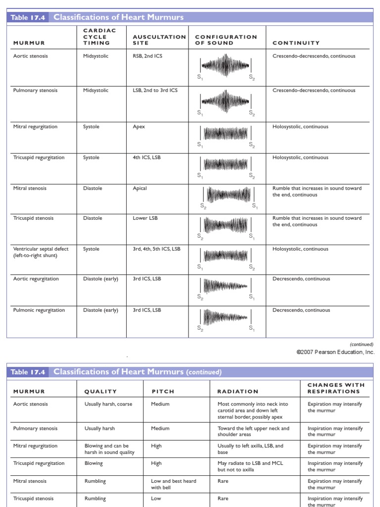 Classifications of Heart Murmurs | PDF | Cardiology | Medical Specialties