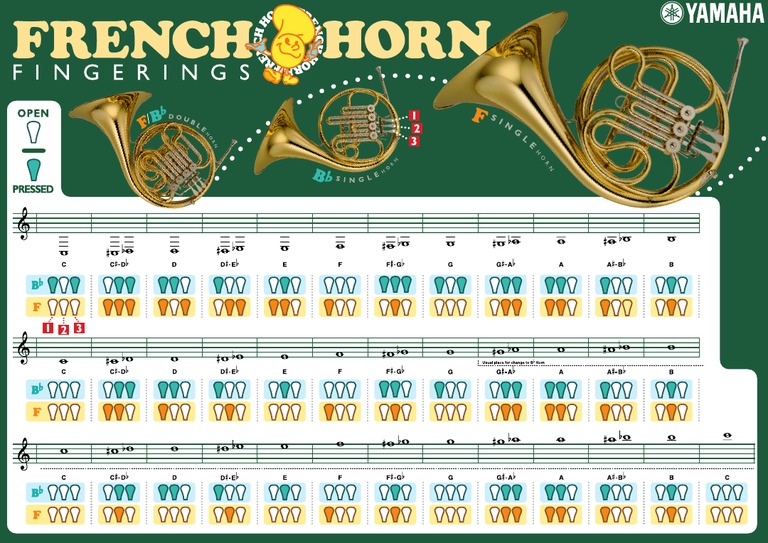 F Horn FC | PDF