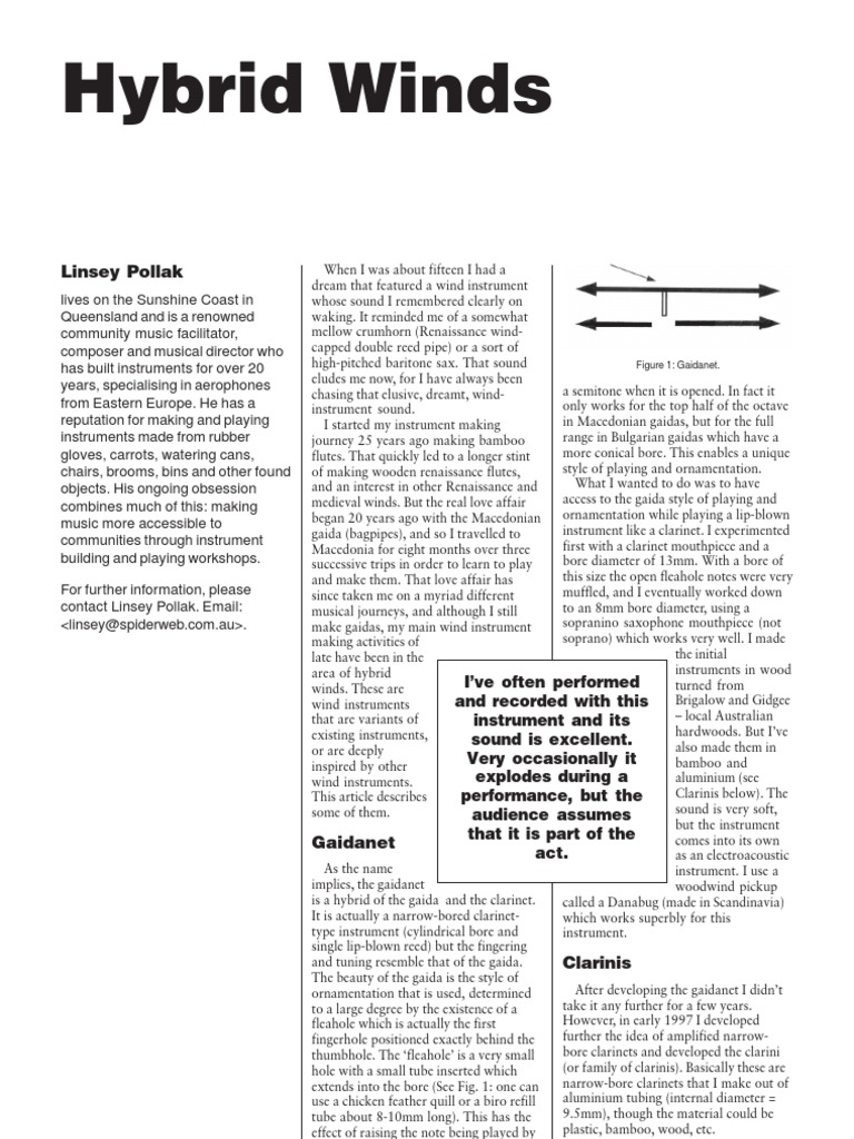 Hybrid Winds | PDF | Saxophone | Musical Instruments