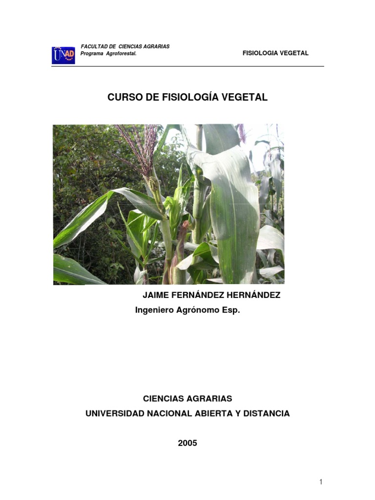 Fisiolog A Vegetal | PDF